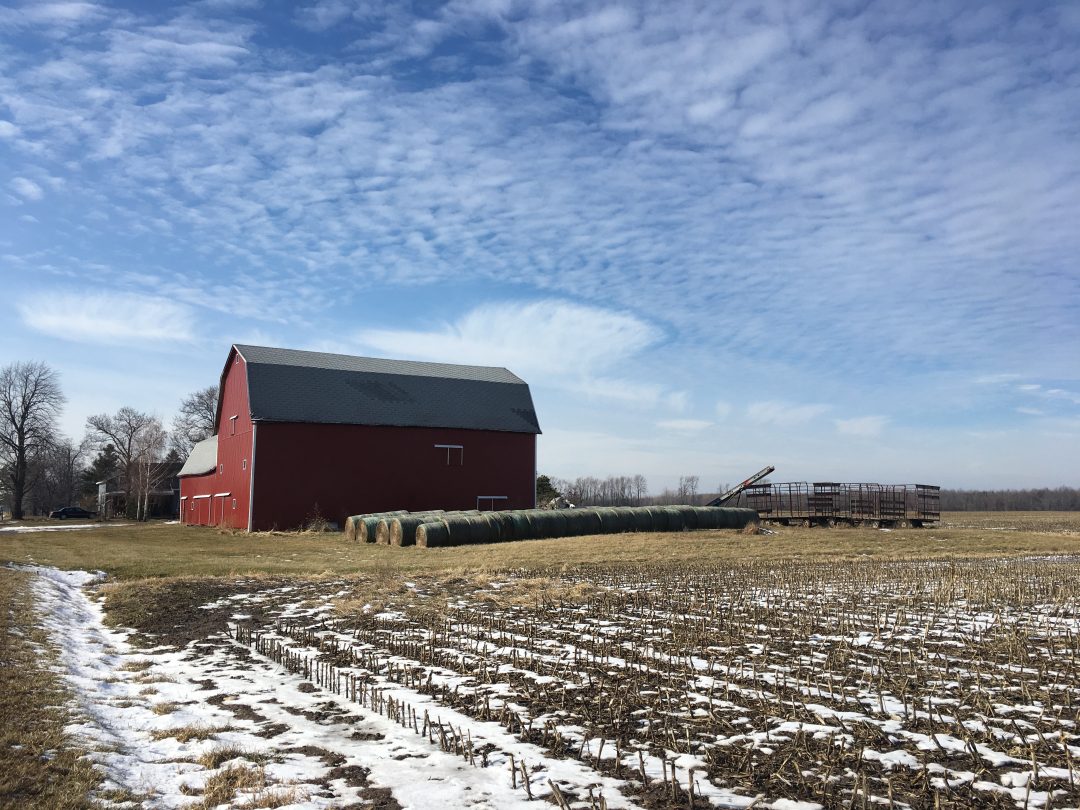 Testimonials | Save Ontario Shores